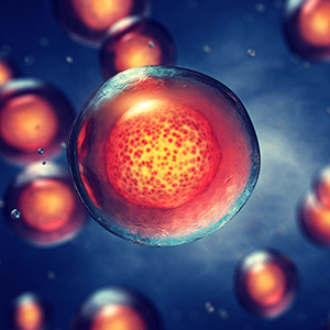 TeloCell Immortality Pill Anti-Aging Age Reversal Regenerative Science